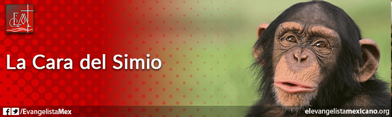 La Cara del Simio – El Evangelista Mexicano