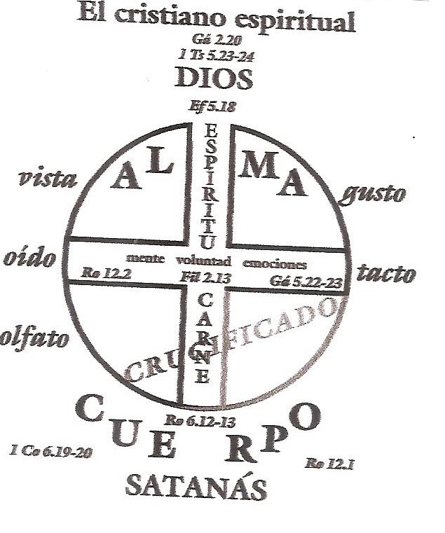 Cápsulas de Discipulado – El Evangelista Mexicano