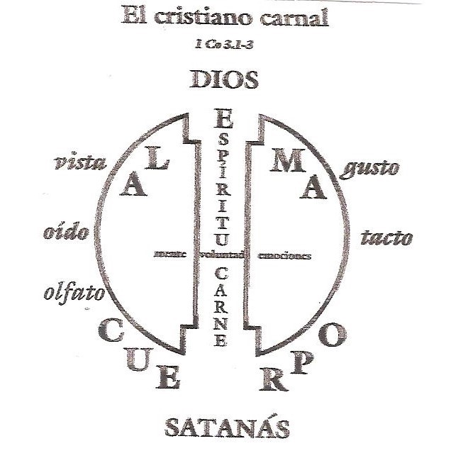 Cápsulas de Discipulado – El Evangelista Mexicano
